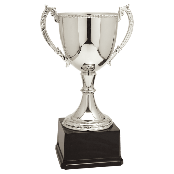 Zinc Silver Cup 18.25 – Grayhawk Awards